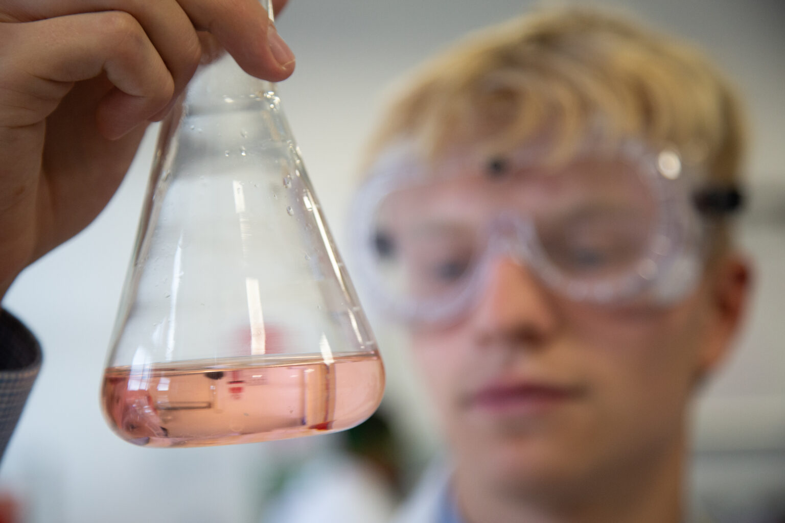 Life After Sixth Form - Sutton Grammar School